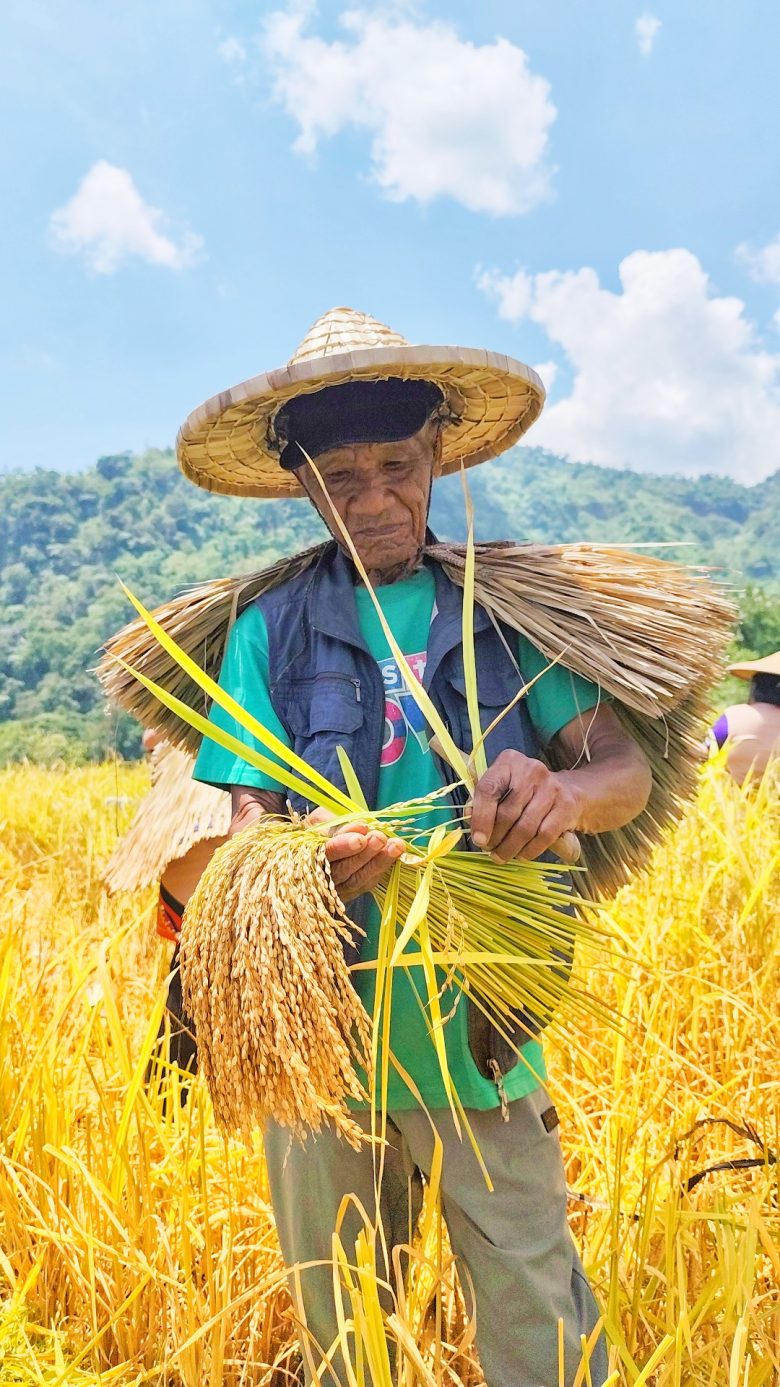 How a Slow Food Community in Pasil is preserving Kalinga’s heirloom ...