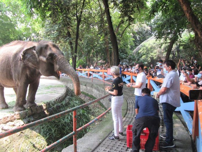 Manila Zoo’s rehab, redevelopment begins - Getaway.PH